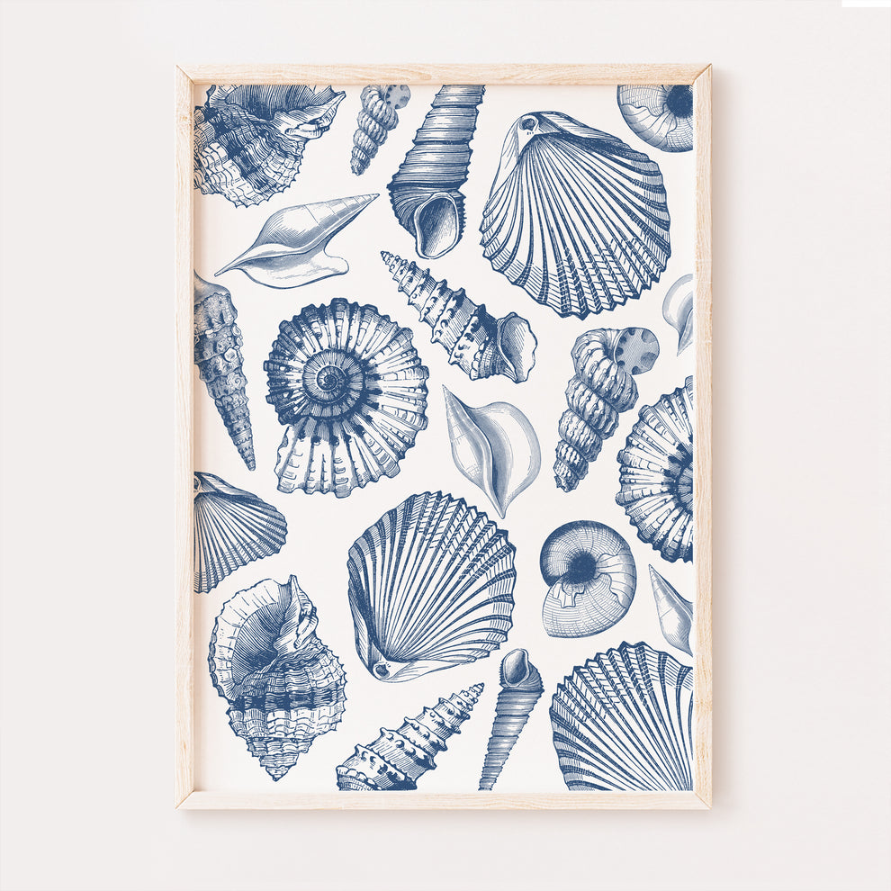 Poster Fox | Vintage Seashell Art Print, Beach House Wall Art Decor